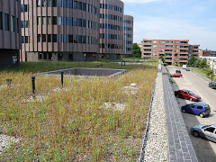 Dak- en gevelbegroeiing Optigroen - Bouwproducten