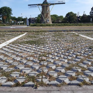 Grasbetontegels voor een combinatie van verharding en natuur ...